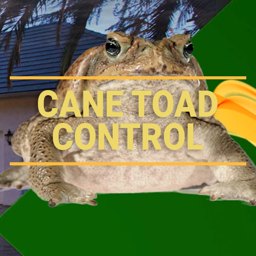 Cane Toad Control – Ensystex.com.au