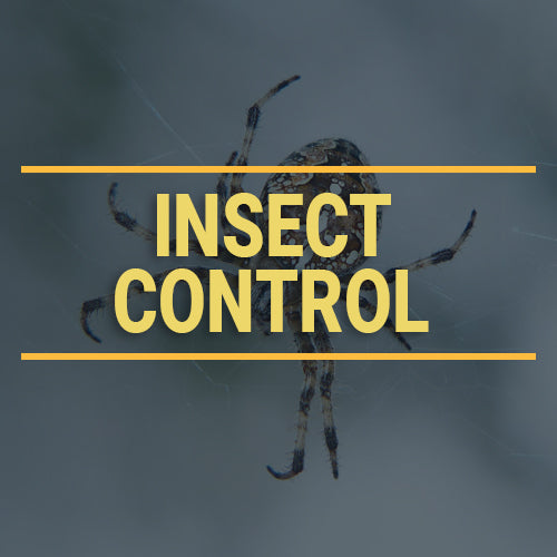 Insect Control – Ensystex.com.au