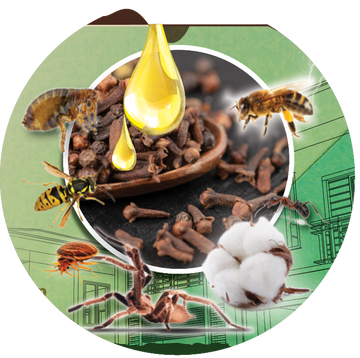 Insect Control – Ensystex.com.au