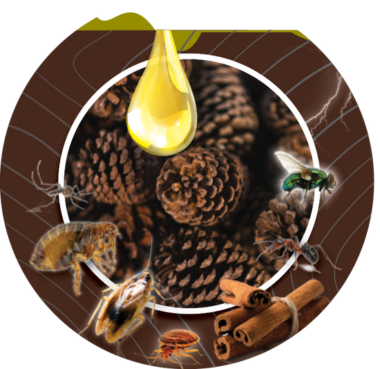 ECOTHOR Nature-Cide Pest Management X2 Commercial Concentrate Insectic ...