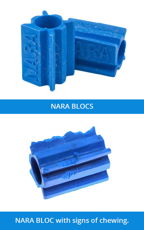 GORILLA RODENT TRAPS & NARA® LURES – Ensystex.com.au